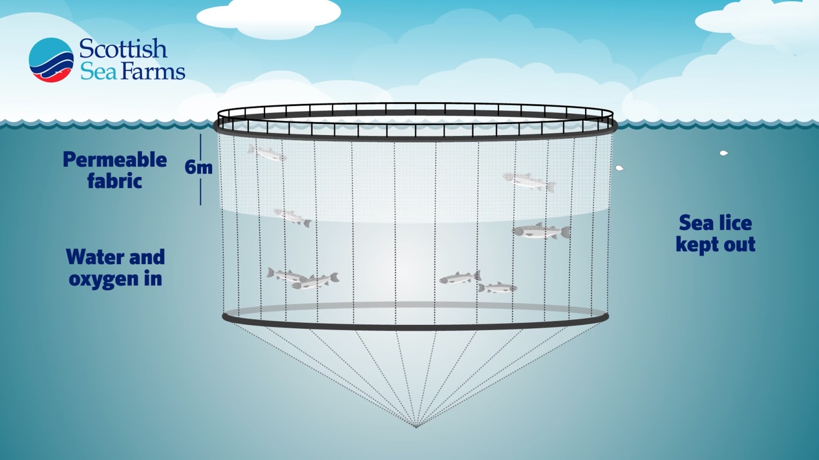 The Aquaculturists: 20/02/2018: Salmon thriving thanks to new anti-sea ...