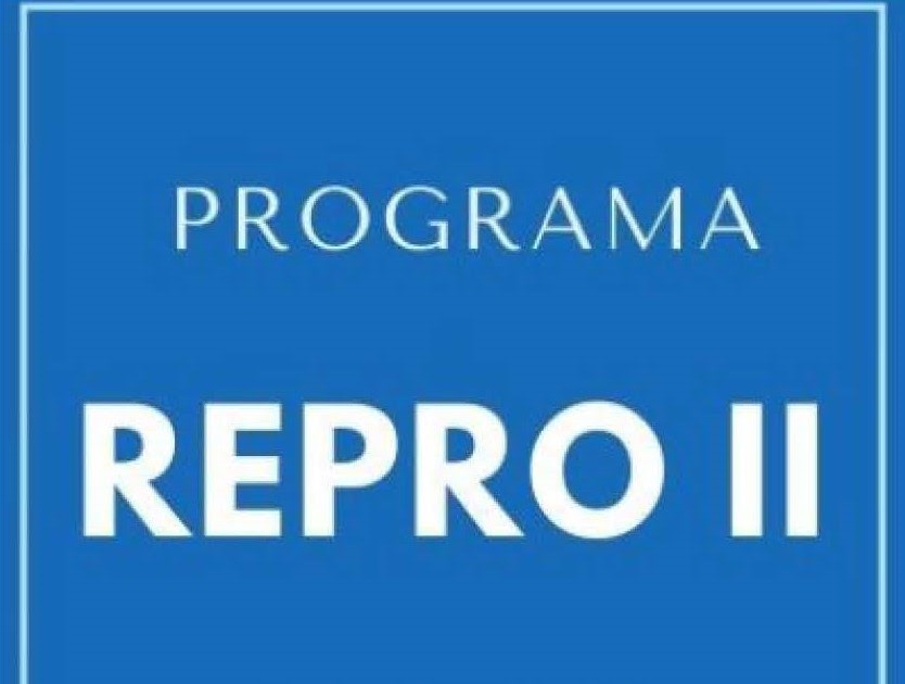CREACION DEL PROGRAMA REPRO II--RESOLUCIÓN (MTESS) 938/2020--