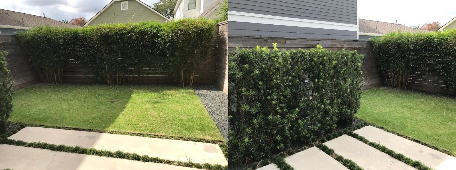 Creating a Pocket Prairie in an Urban Backyard