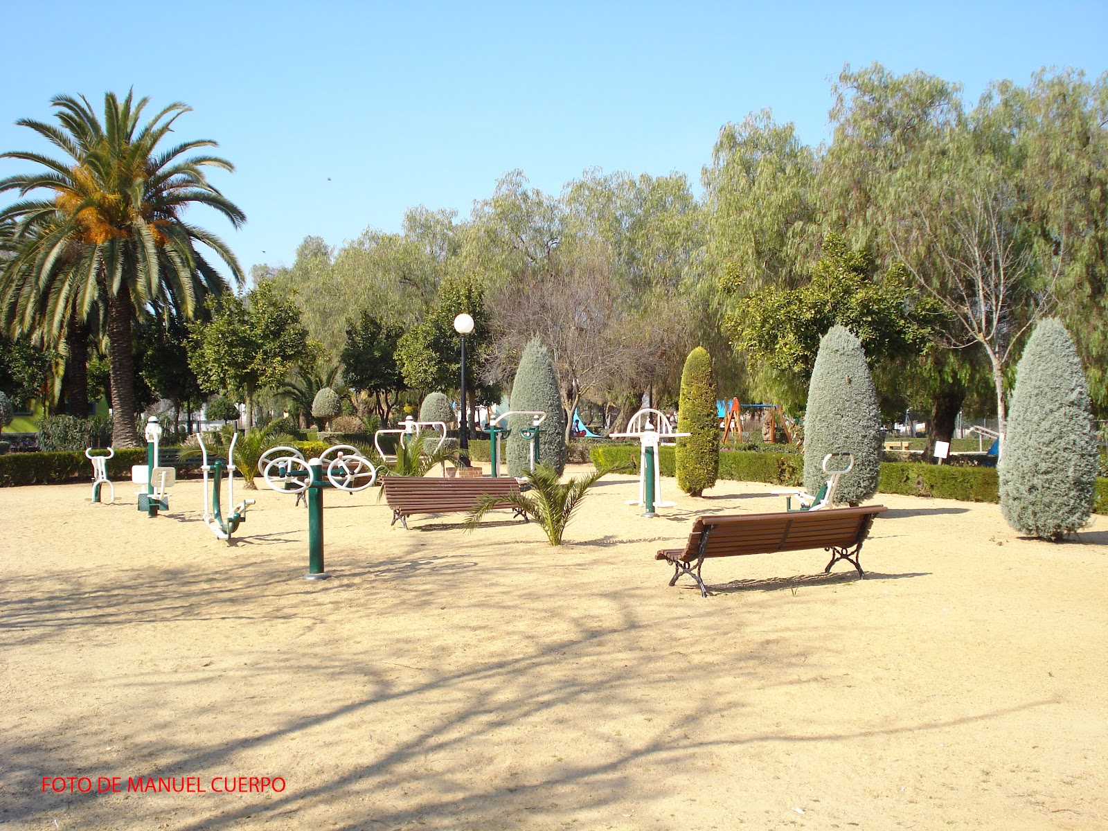 MANUEL CUERPO ROCHA: febrero 2012