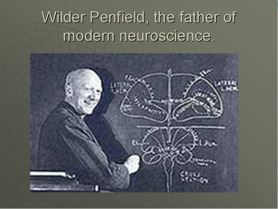 The Thoughtful Vegetable: Angela Ronson Part 3: How Our Brain is ...