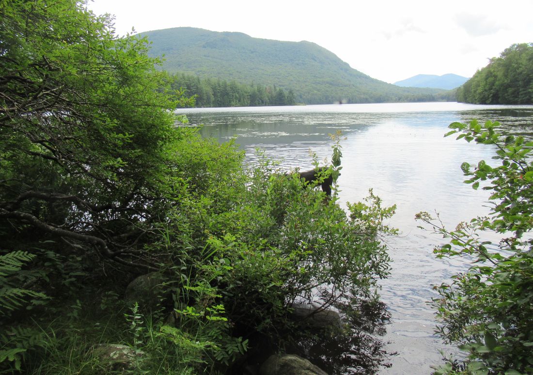 Windswept Adventure: Wonderful Debar Pond - Part 1