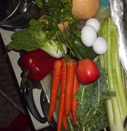 NoVACAIN Kennels: Vegetables Fruits Herbs........