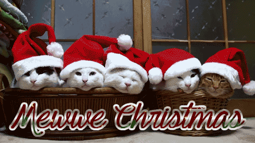 Funny Christmas Gifs For Facebook