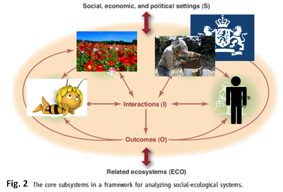 Social Systems: Policy and Management: Social Ecological System: the ...