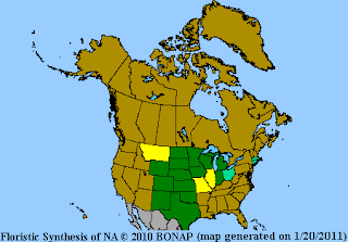 Restoring The Landscape With Native Plants: Native Plant of the Week ...