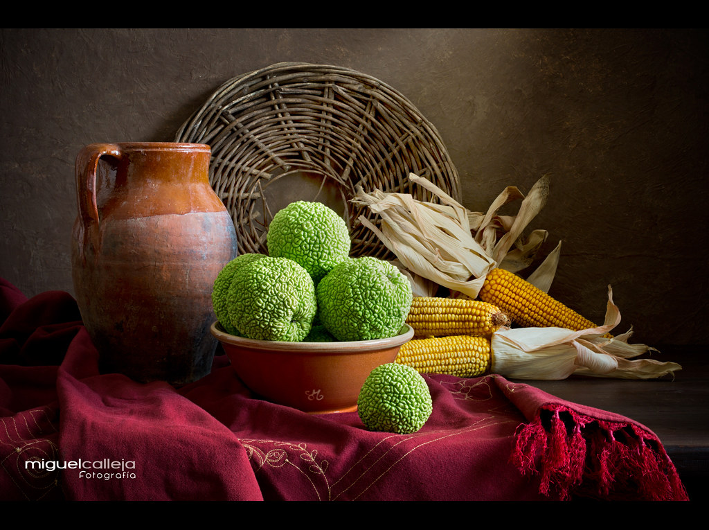 Historia y evolución de la pintura artística : Fantásticas imagenes de ...