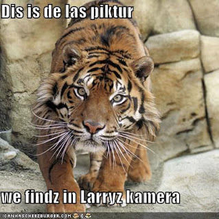 Comedy Plus: funny tiger.
