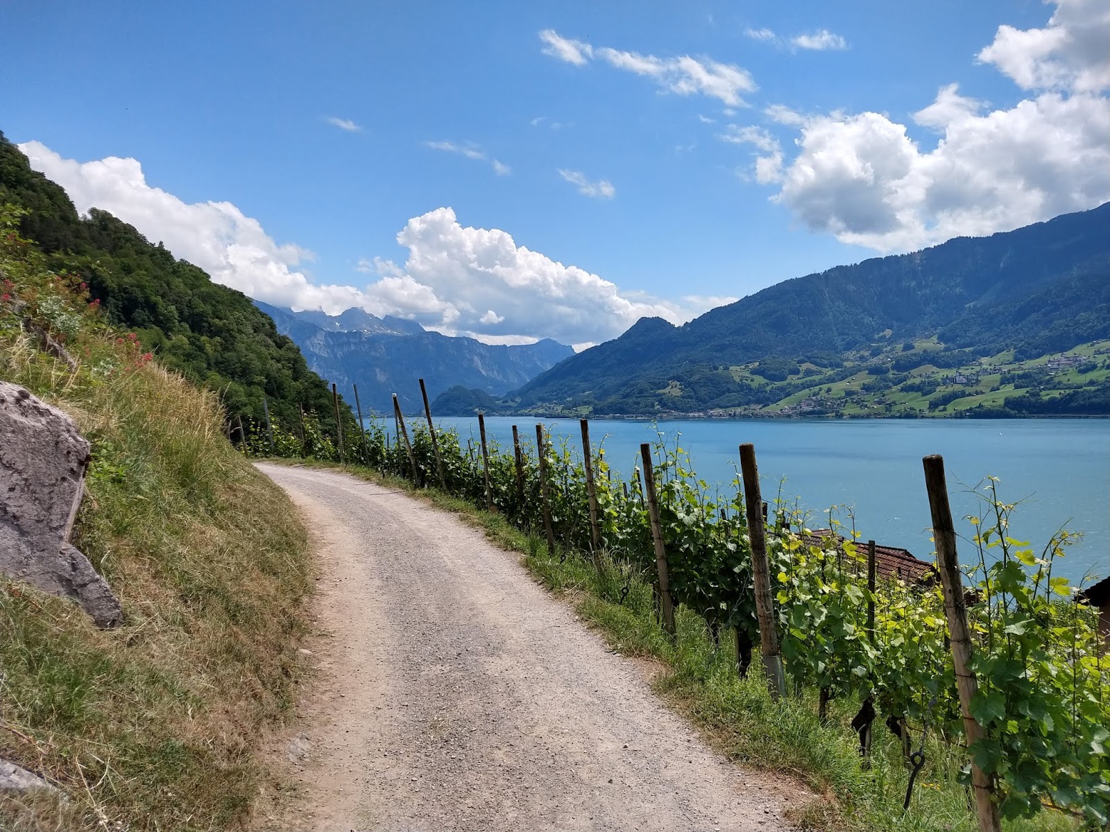 Razem w świat: Quinten