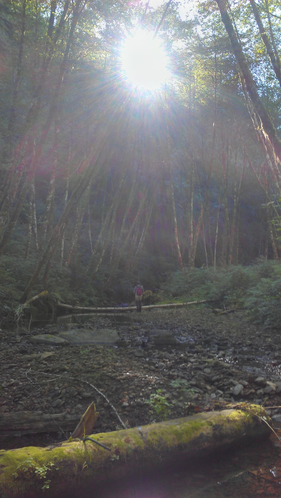 A Song of Fish and Sand - Summer 2012 Internship with ODFW