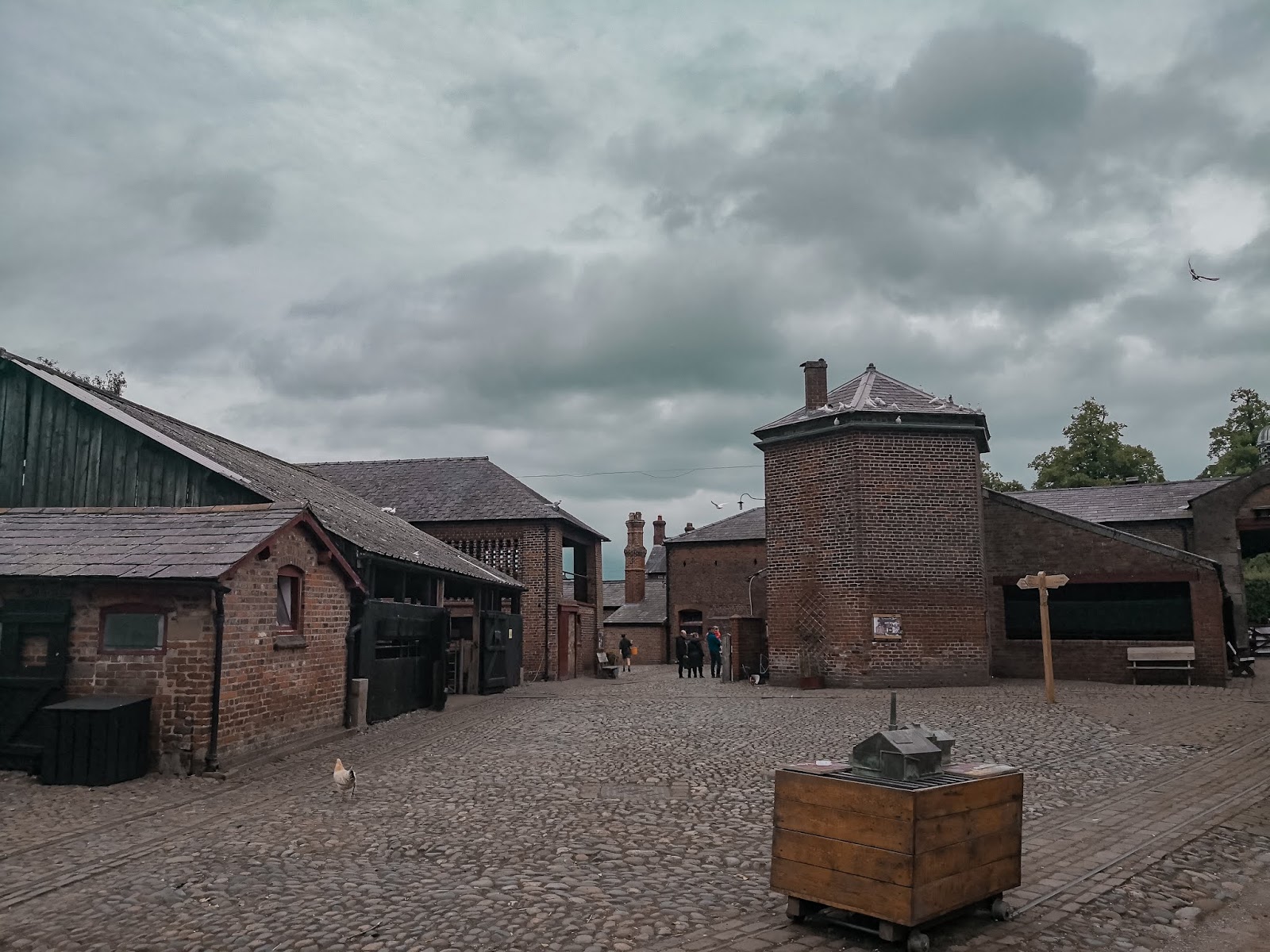 TATTON PARK - THE FARM - Hi5 the world