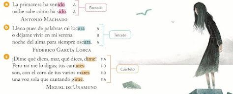 El blog de 6ºC: Poesía: Tipos de estrofa (pareado, terceto y cuarteto)
