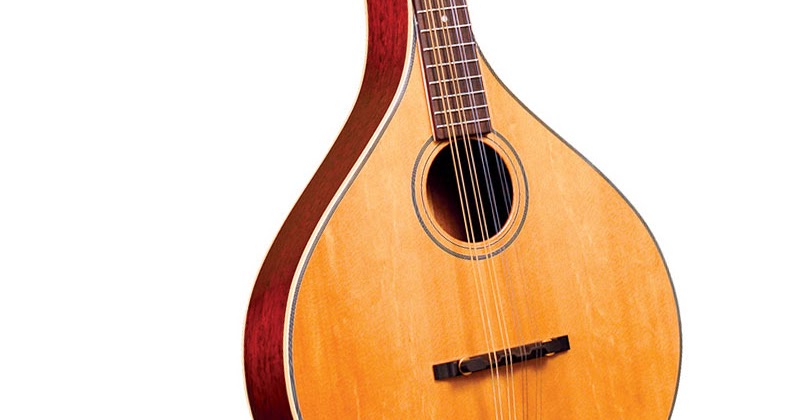 MANDOLIN LUTE FAMILY OF MUSICAL INSTRUMENT