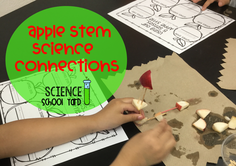 Six "Apple"ing Apple Science Connections - The Science School Yard