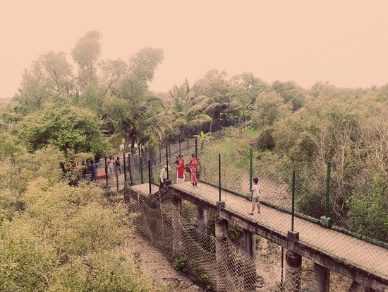 The Sundarbans : Our Pride