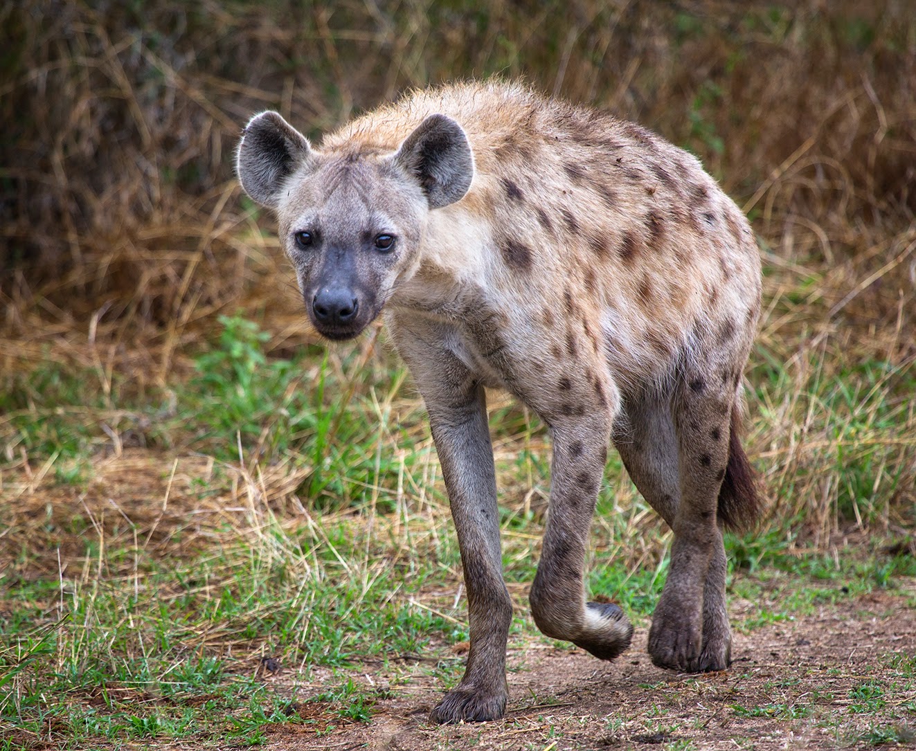 Light in the Valley: November 2014