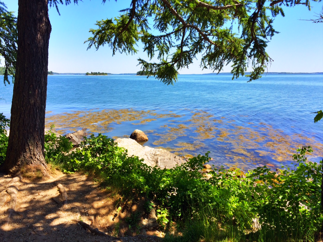 The Freelance Adventurer : Mackworth Island Hike - Easy Family Trail ...