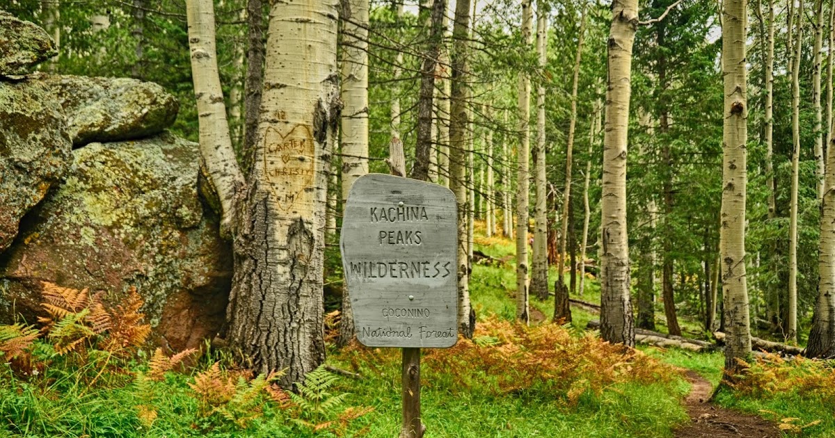 Introducing the 7E Chronicles!