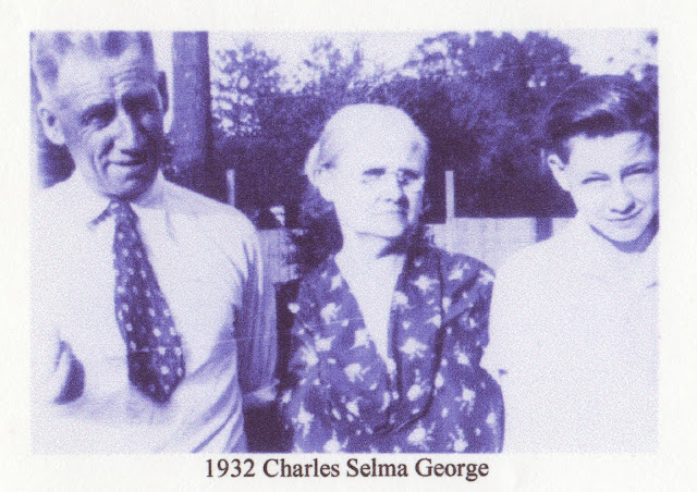 Robin's attempts to fly away home...: Andersson