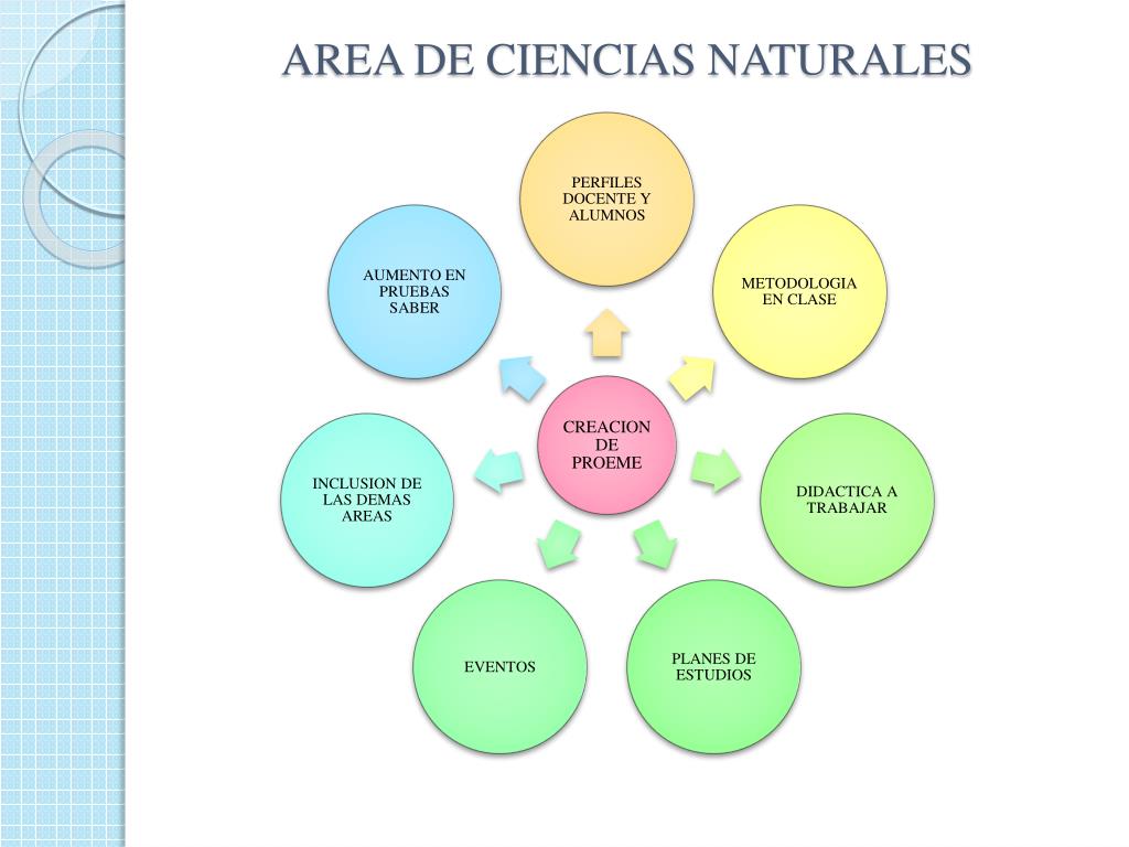 Introducion a las ciencias Naturales. C.naturalez.blogspot.com: Áreas ...