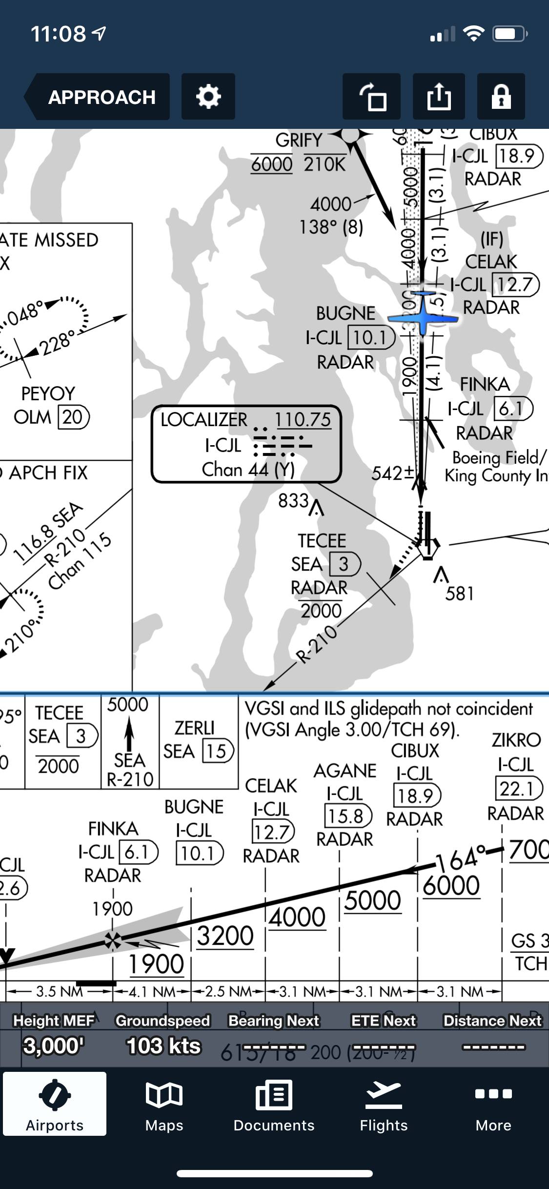 Flight Simulator setup
