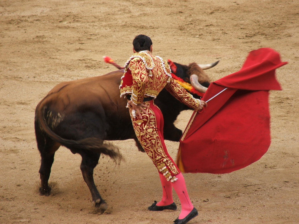 Bull Fighting hd wallpapers | Movies Songs Lyrics