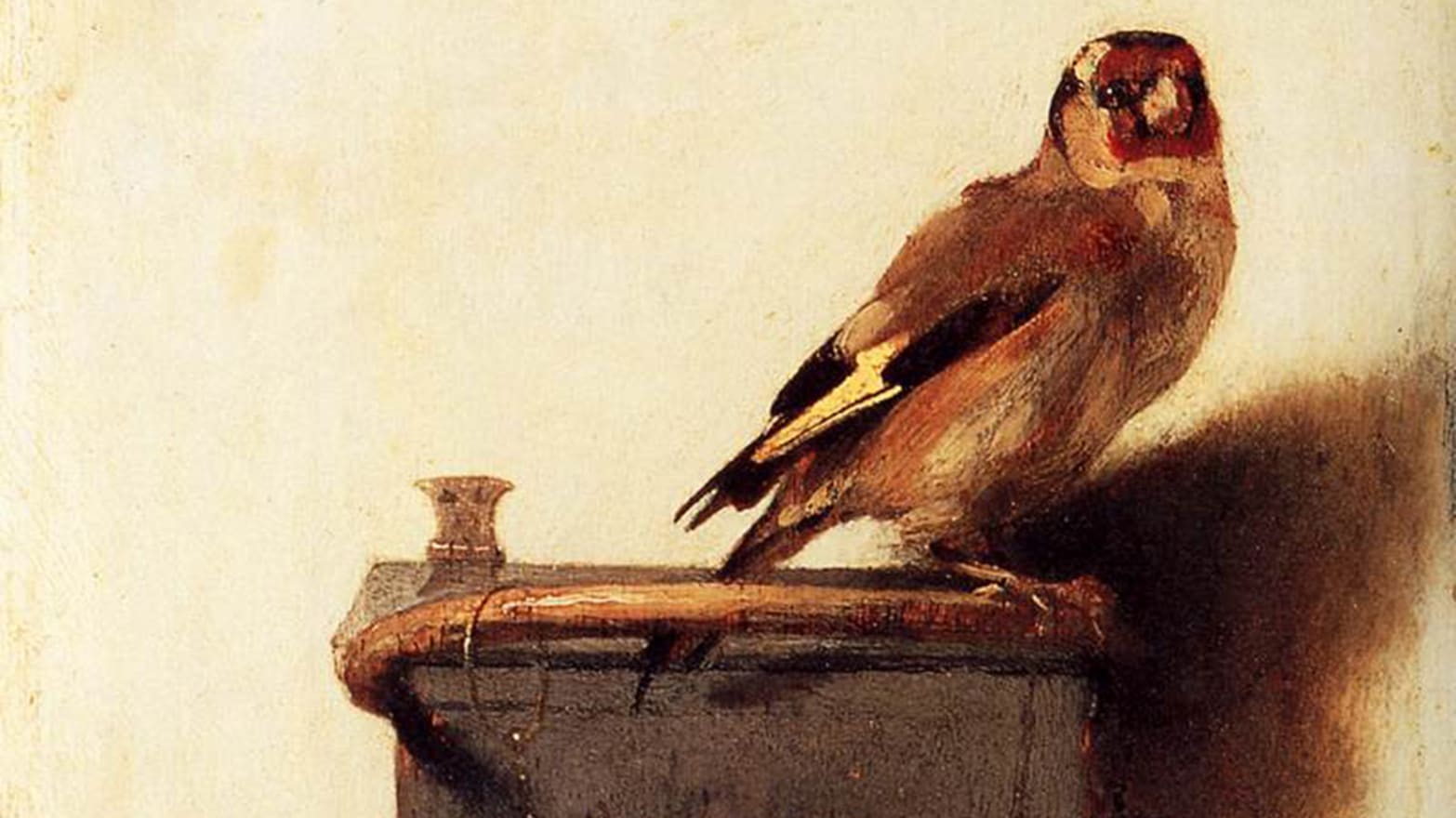 Sentence Of Dave The Goldfinch sentence-of-dave-the-goldfinch