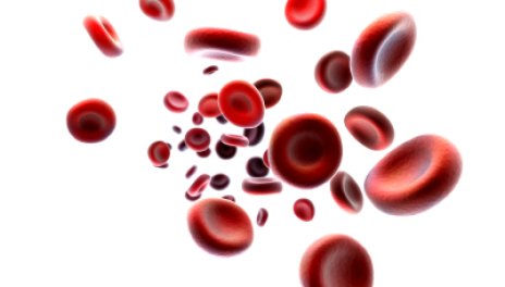 Understanding Complete Blood Count (CBC) Test