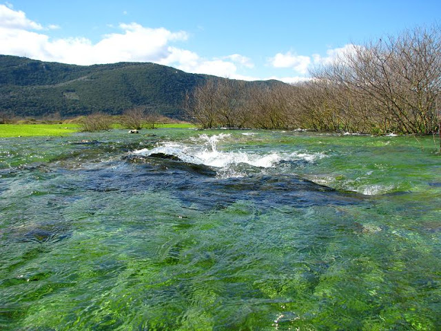 Καταγγειλτε blog: ΕΣΠΑΣΕ Ο ΡΙΒΙΟΣ .........ΛΙΜΝΗ ΑΜΒΡΑΚΙΑ