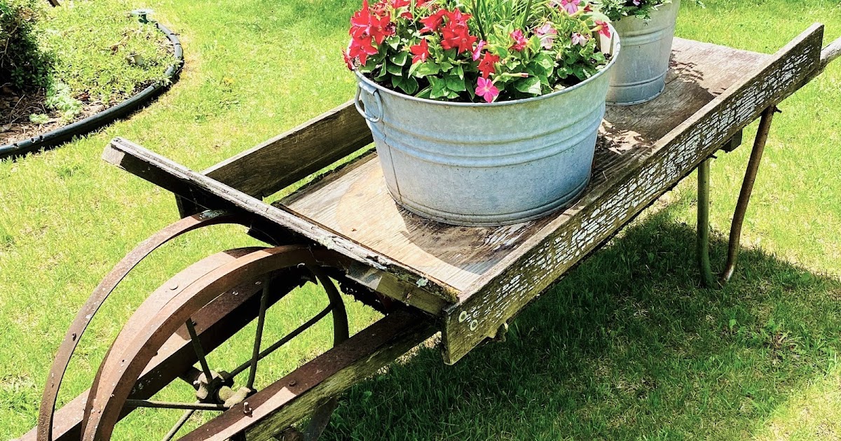 Prince Tut Annual Grass/Nicotiana Combo Laundry Tub Planter | Organized ...