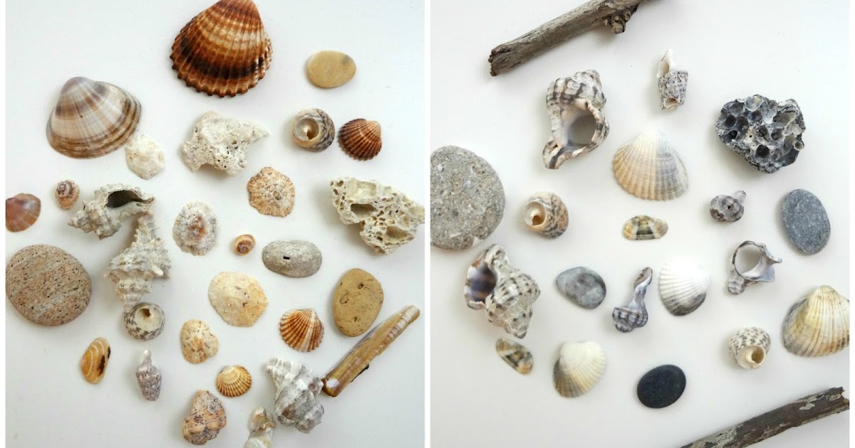 Little Treasures: How to Clean and DIY Sea Shells Projects