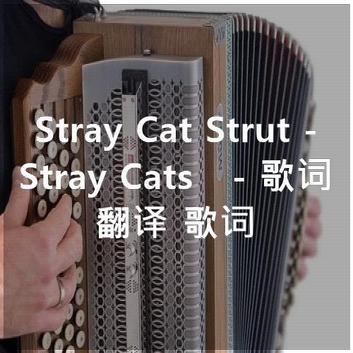 Stray Cat Strut - Stray Cats - 歌词翻译 歌词
