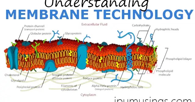 Understanding Membrane Technology (#biotechnology)(#biochemistry)(# ...