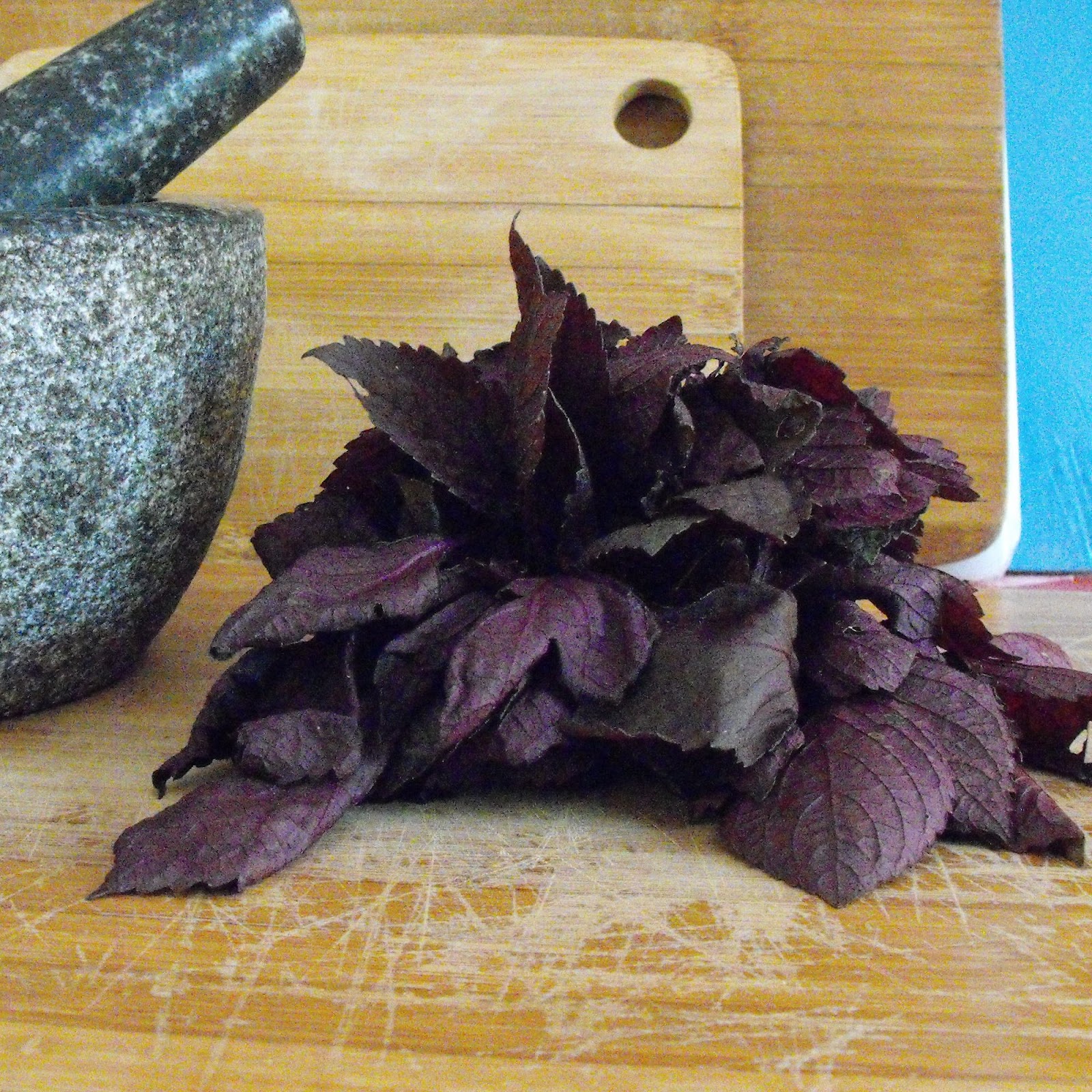 RAYGUNOMICS: Purple Shisho Pesto Recipe
