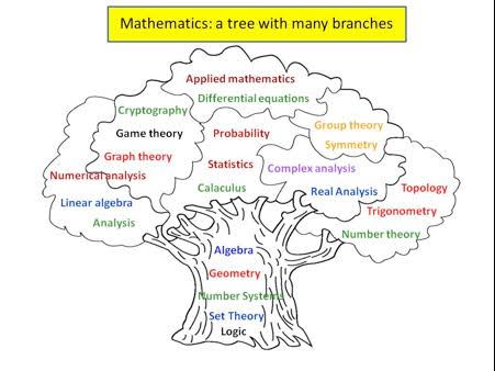 Swaliha: Branches of Mathematics