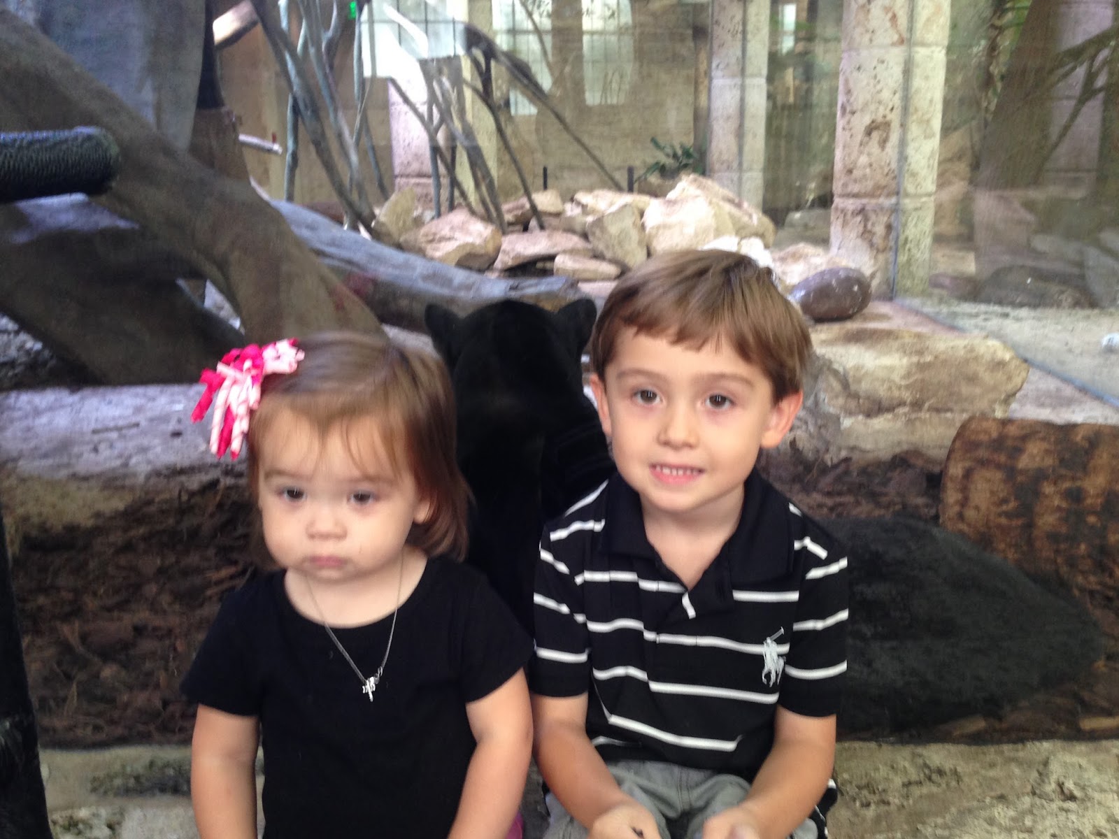 The Mota Family: Sir Preston Mota Turns 5!