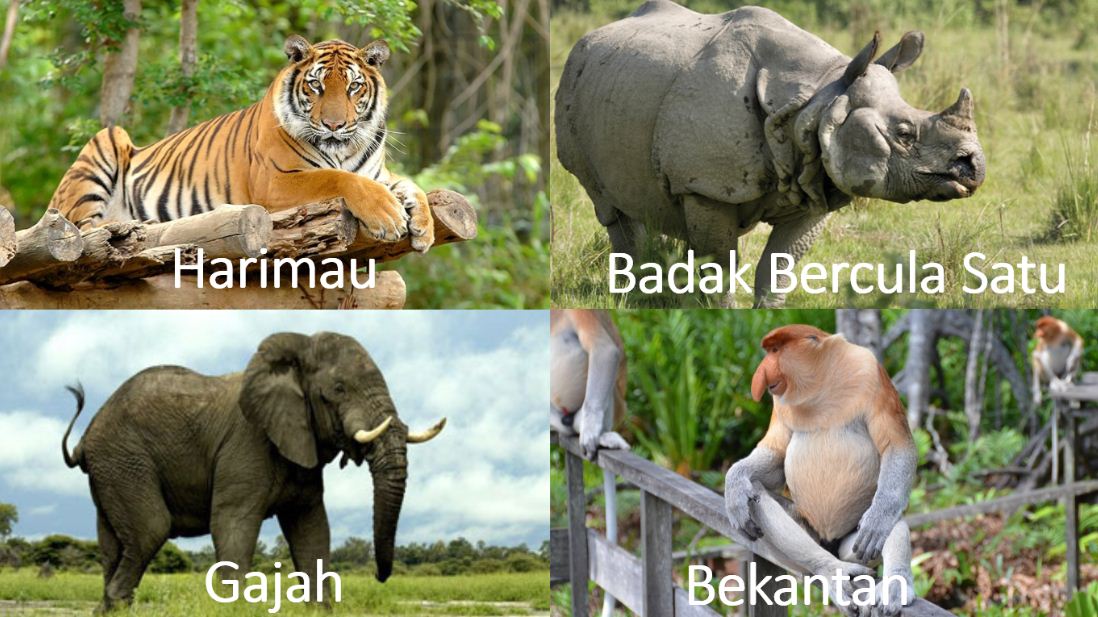 Persebaran Fauna Dunia - Geograpik