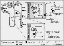 Medical Treatment Pictures-for Better Understanding: Bartter Syndrome