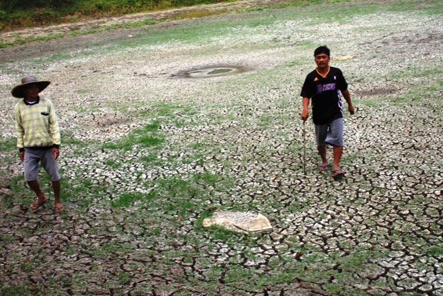 Mabuhay Online: Palayan sa Bulacan natutuyo