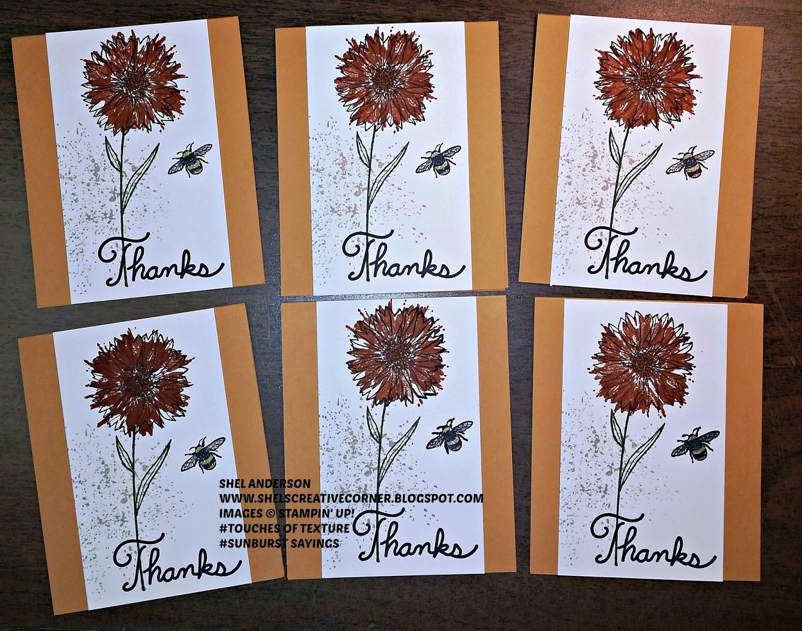 STAMP WITH SHEL : June Thank You Cards. . . Touches of Texture and ...