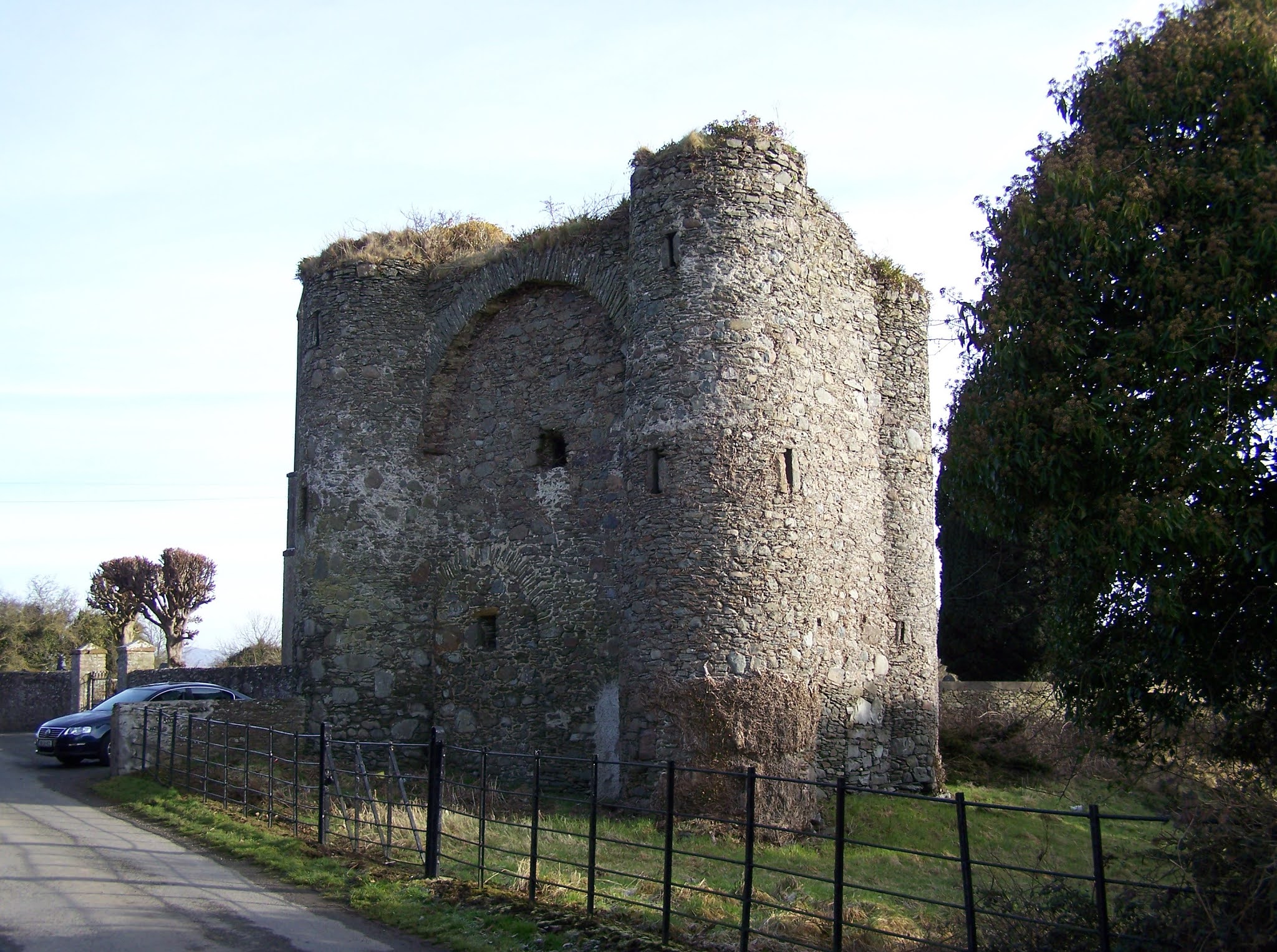 Irish Heraldry: Where in the County (11) Castles