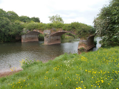 Off the Beaten Track in Somerset: The Chard Canal