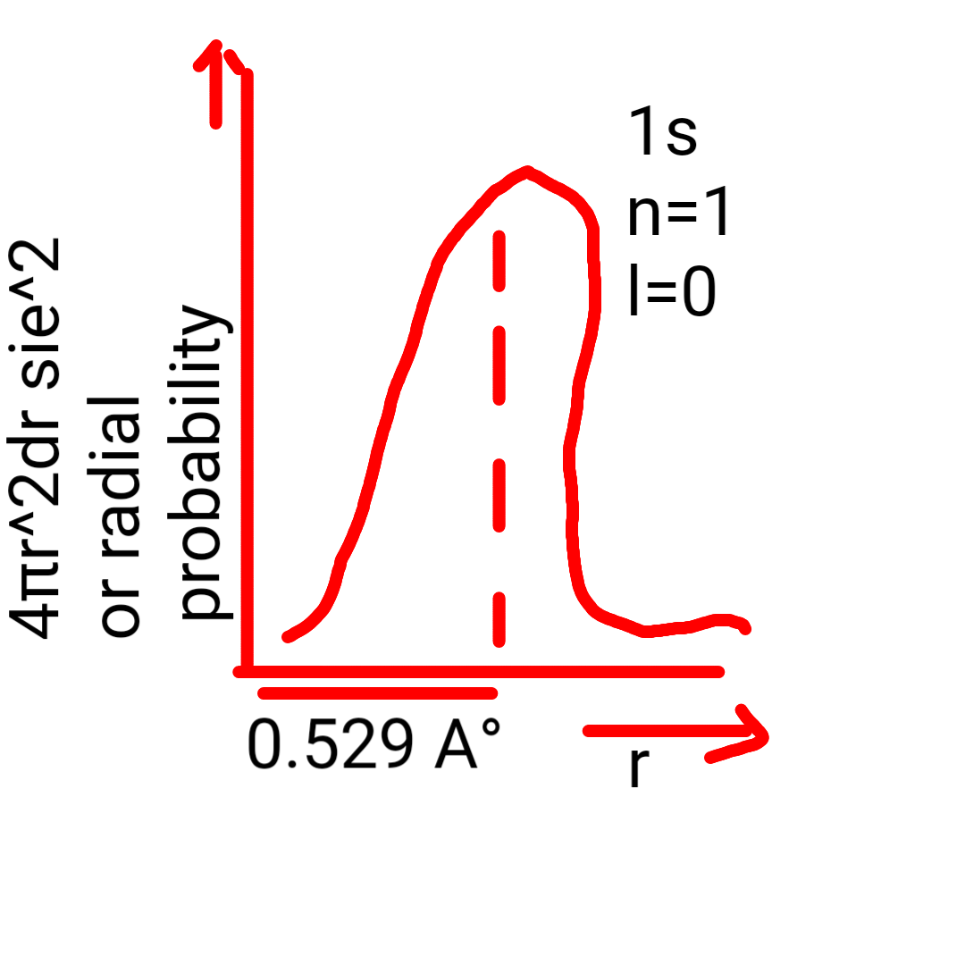 Radial probability distribution curves