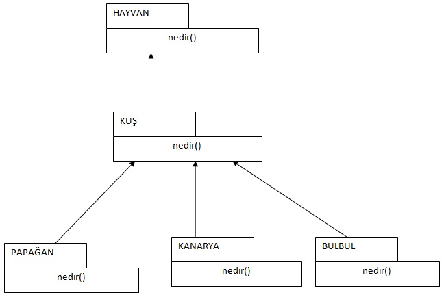 Türkçe Yazılım Ve Bilgisayar Mühendisliği Dersleri Java Android Ios Javascript Node