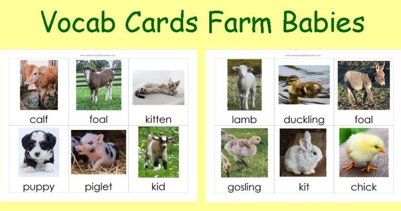 Memorizing the Moments: Farm Babies Vocabulary Cards