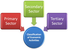 What are Economic Activities? primary, secondary and tertiary - gk lokam