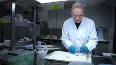 KLASIFIKASI DAN KARAKTERISTIK TOKSIKAN (Bahan Toksik) - Kumpulan Materi