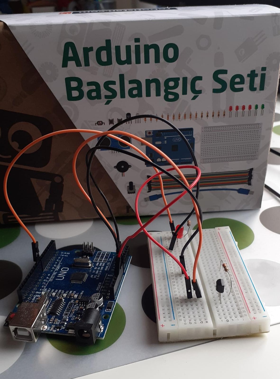 Asil Kuzucuoglu - Yazılımcı