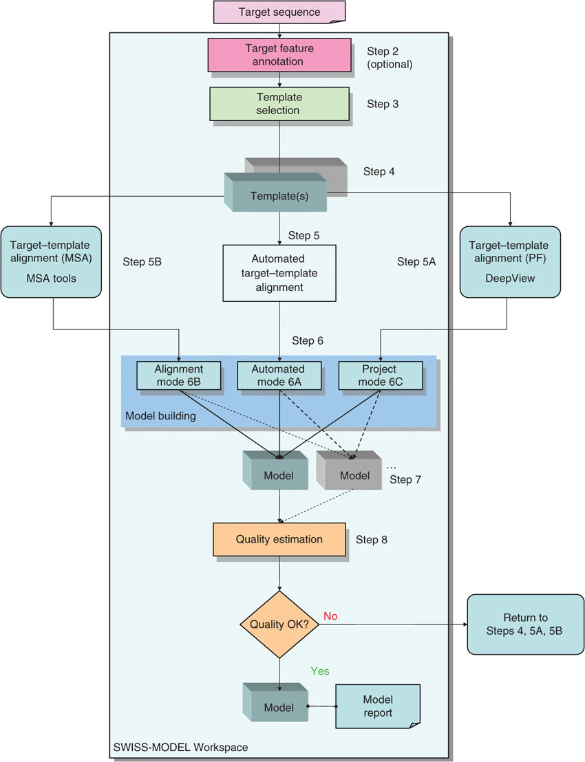 Simplest Way of Protein Homology Modelling ~ Bioinformatics Made Simple.com