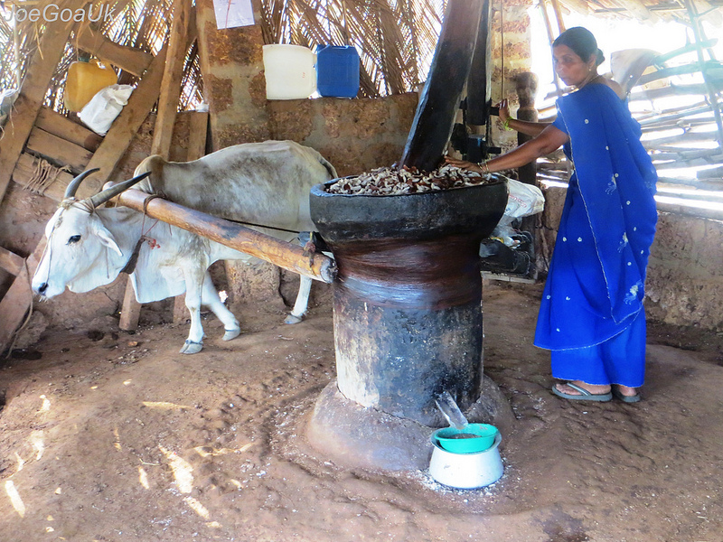 Traditional method of oil pressing